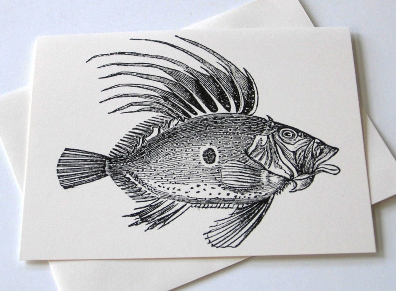 Fish Note Cards Stationery Set of 12 Cards in White or Light - Etsy