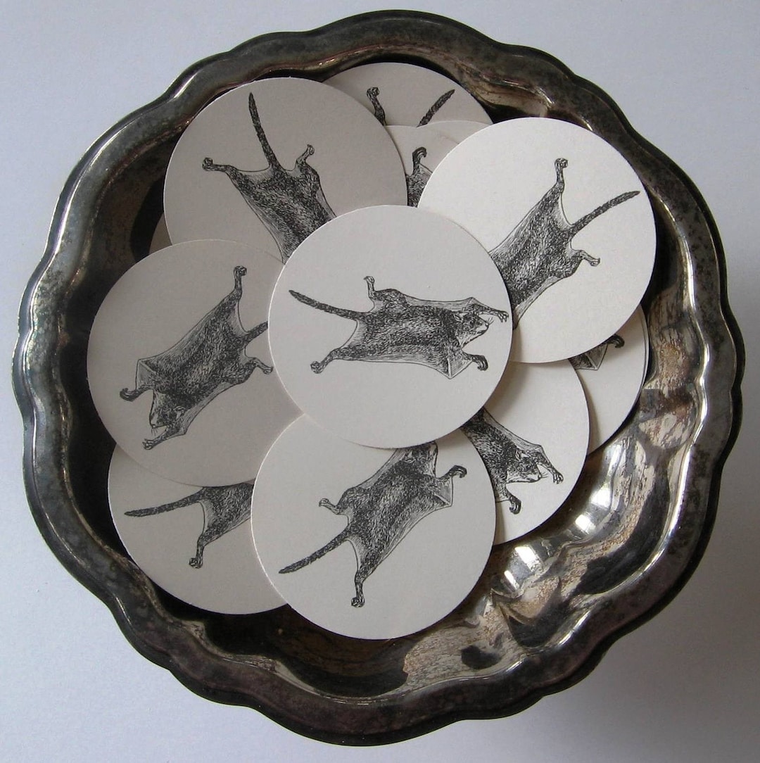 Flying Squirrel Tags Round Gift Tags Set of 10 - Etsy