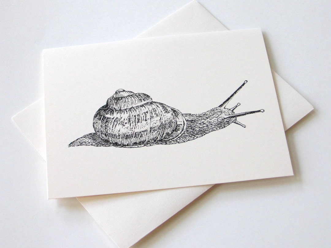 Snail Note Card Set of 10 in White or Ivory With Matching Envelopes - Etsy