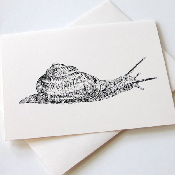 Snail Card - Etsy