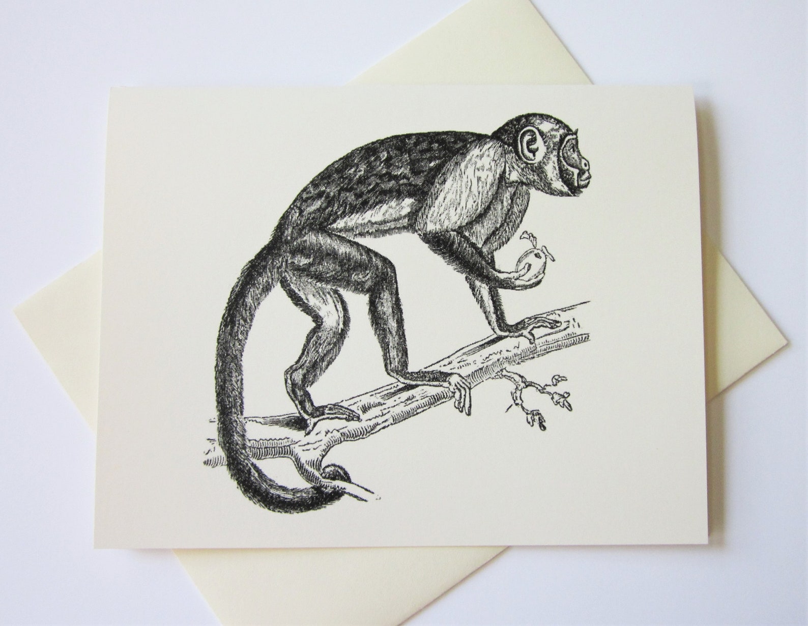 Monkey Note Cards Set of 10 with Matching Envelopes | Etsy