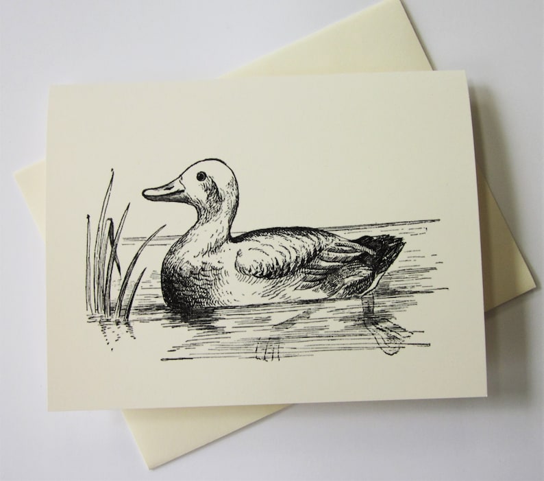Duck Note Cards Stationery Set of 10 Cards in White or Light - Etsy