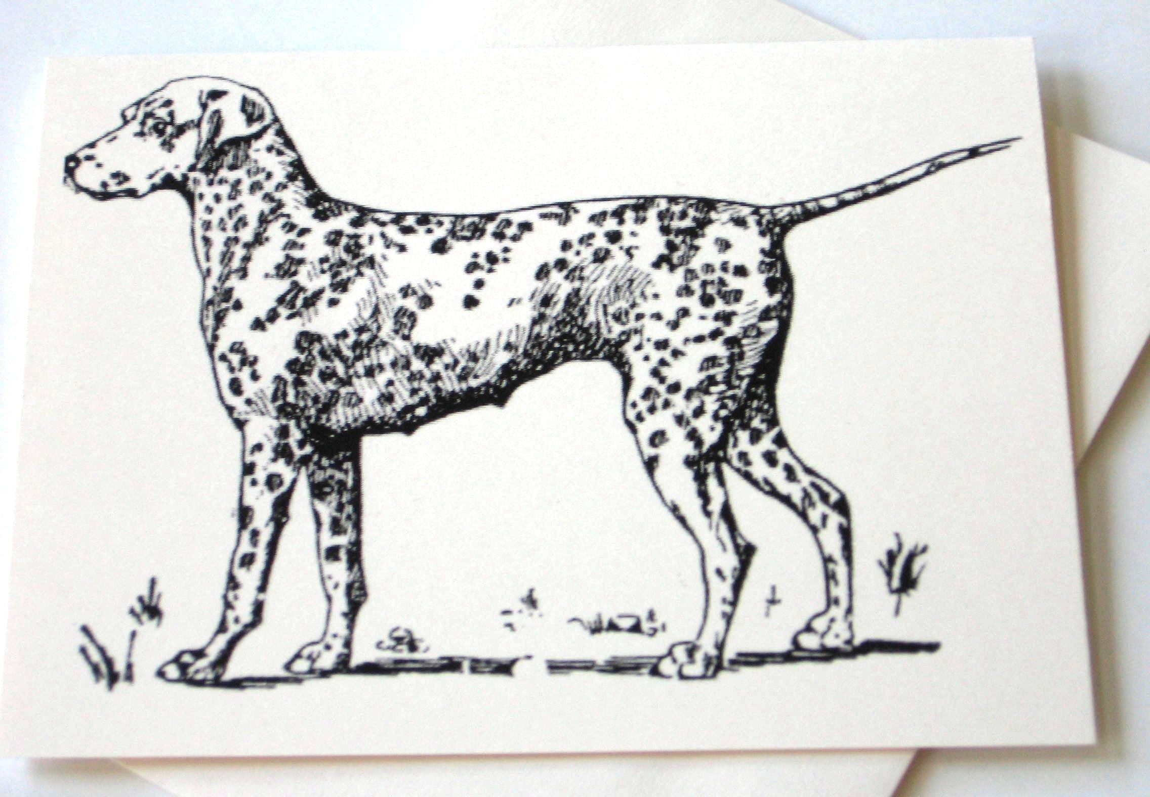 Dog Note Cards Stationery Set of 4 Cards in White or Light - Etsy