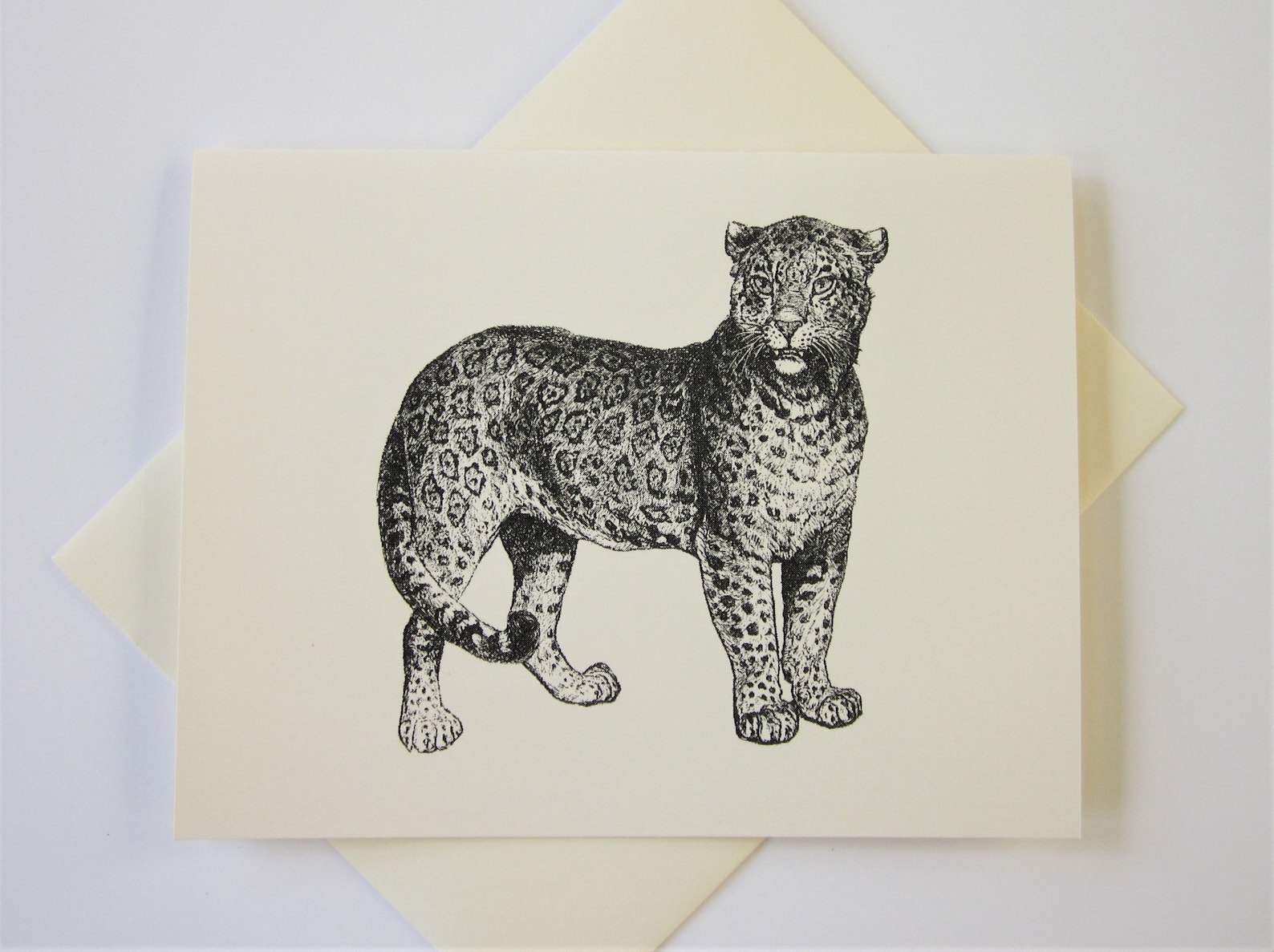 Leopard Note Cards Set of 10 With Matching Envelopes - Etsy