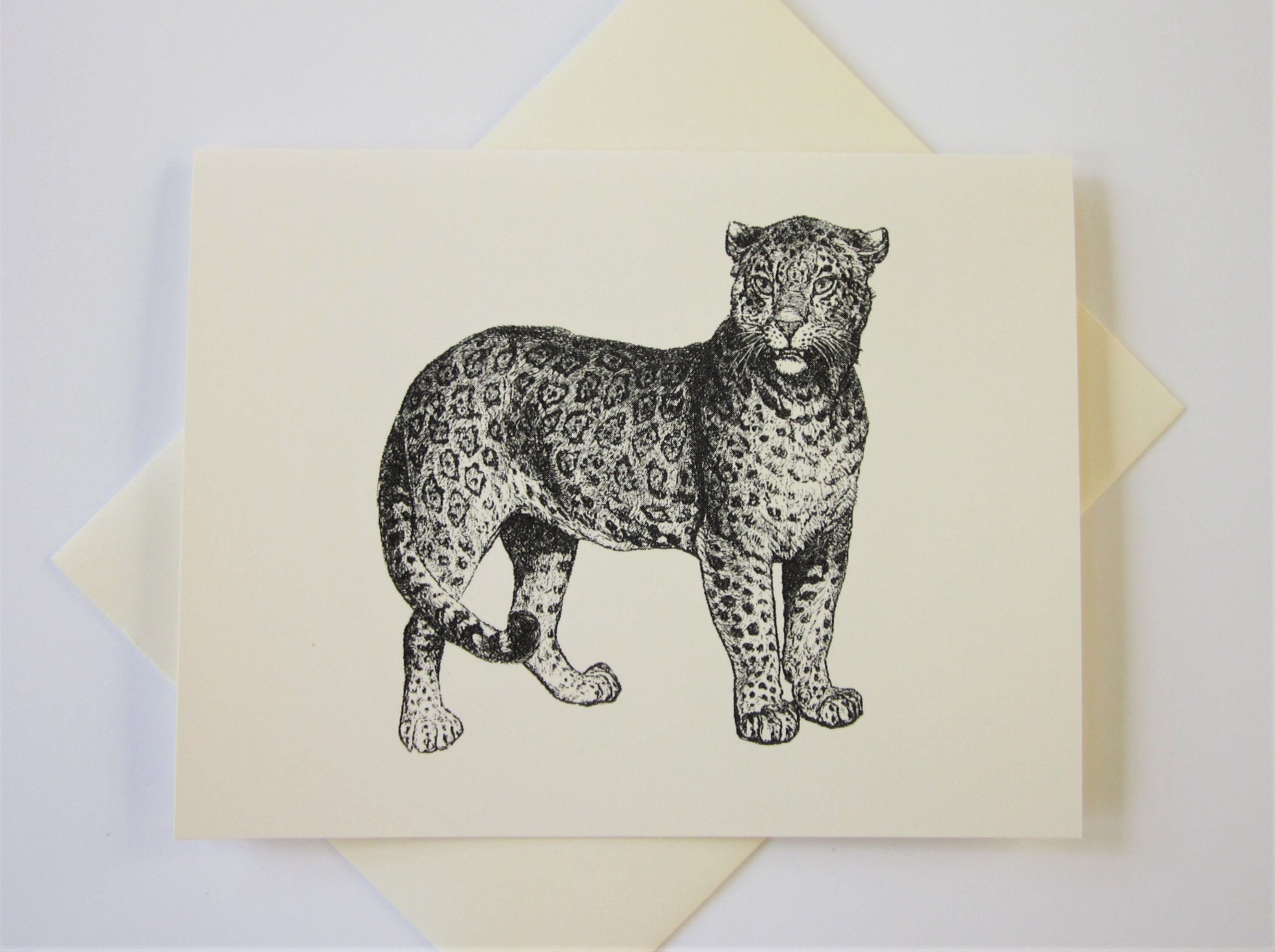 Leopard Note Cards Set of 10 With Matching Envelopes - Etsy