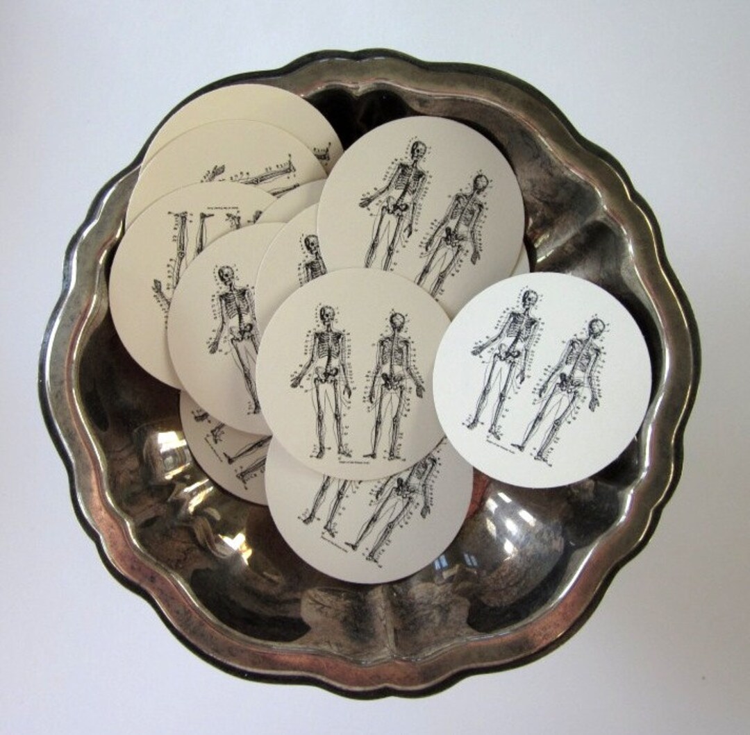 Skeleton Tags Round Paper Gift Tags Set of 10 - Etsy