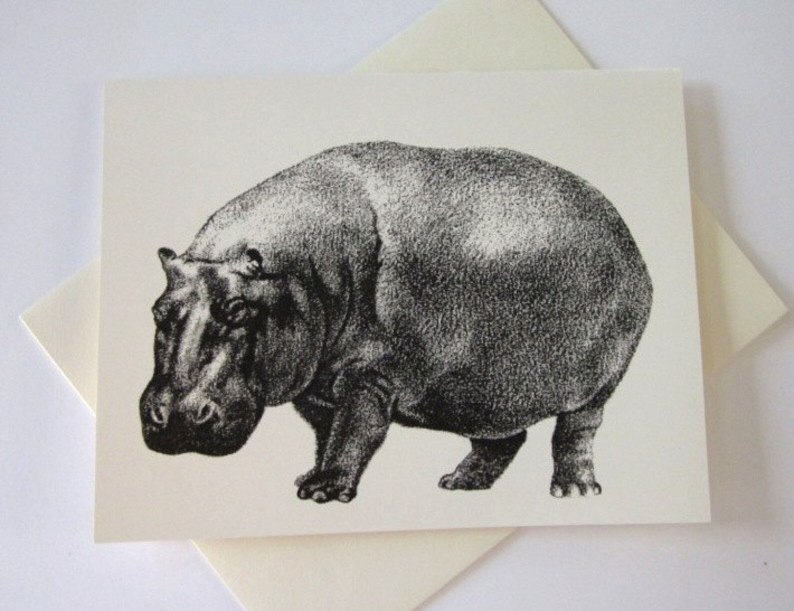 Hippo Hippopotamus Cards Set of 10 in White or Light Ivory - Etsy
