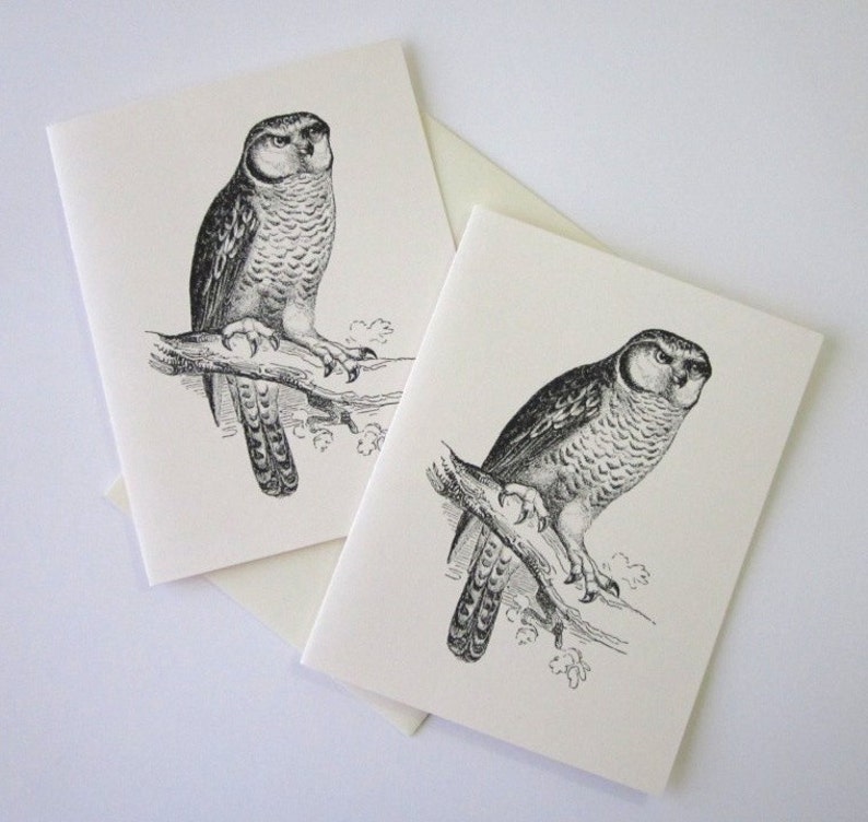 Owl Note Cards Stationery Set of 10 Cards With Matching Envelopes - Etsy