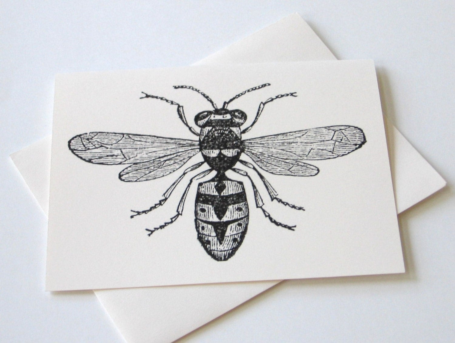 Bee Wasp Note Cards Stationery Set of 10 Cards in White or | Etsy