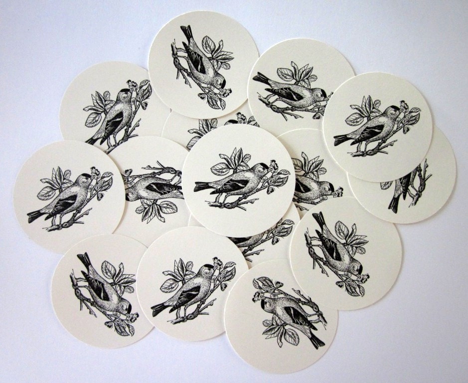 Goldfinch Bird Tags Round Paper Gift Tags Set of 10 - Etsy