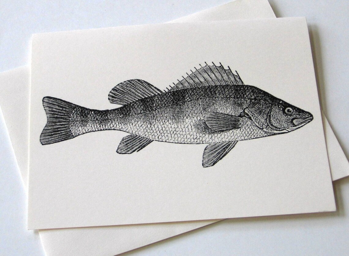 Fish Note Cards Stationery Set of 12 Cards in White or Light Ivory With ...