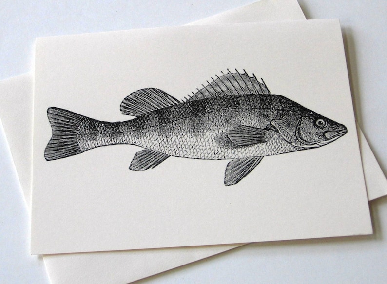 Fish Note Cards Stationery Set of 12 Cards in White or Light - Etsy