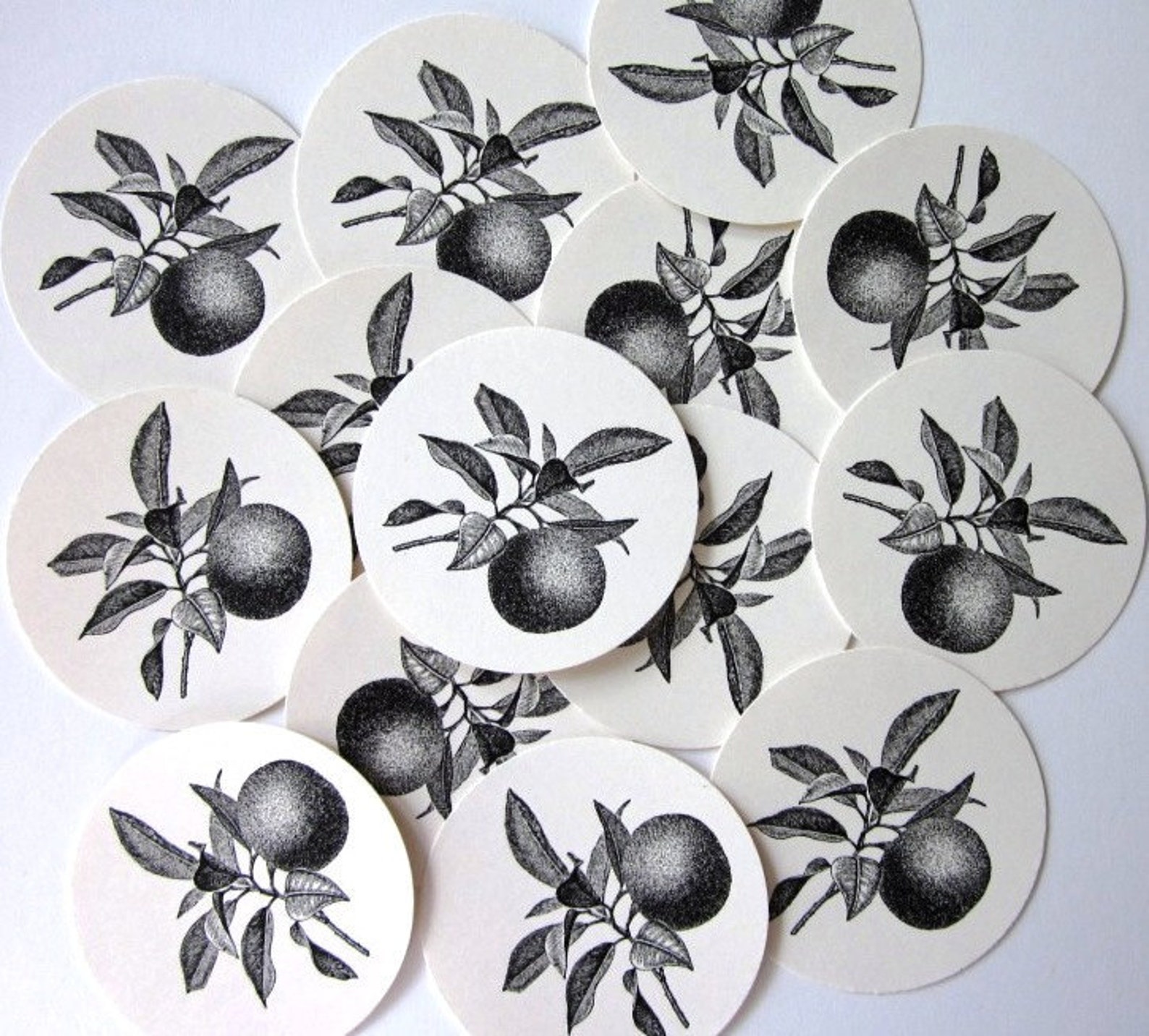 Orange Blossom Tags Round Gift Tags Set of 10 - Etsy