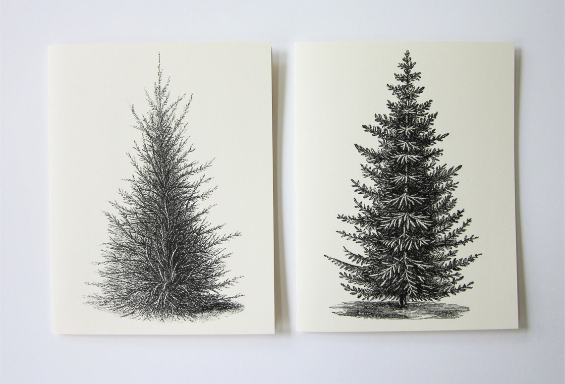 Pine Tree Note Card Set of 10 in White or Light Ivory With - Etsy