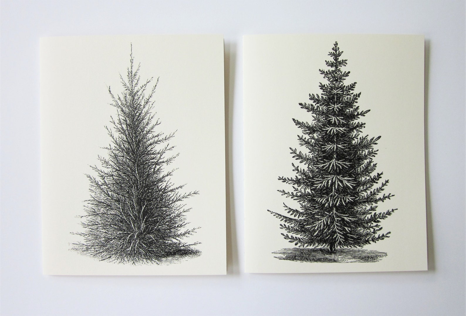 Pine Tree Note Card Set of 10 in White or Light Ivory With - Etsy