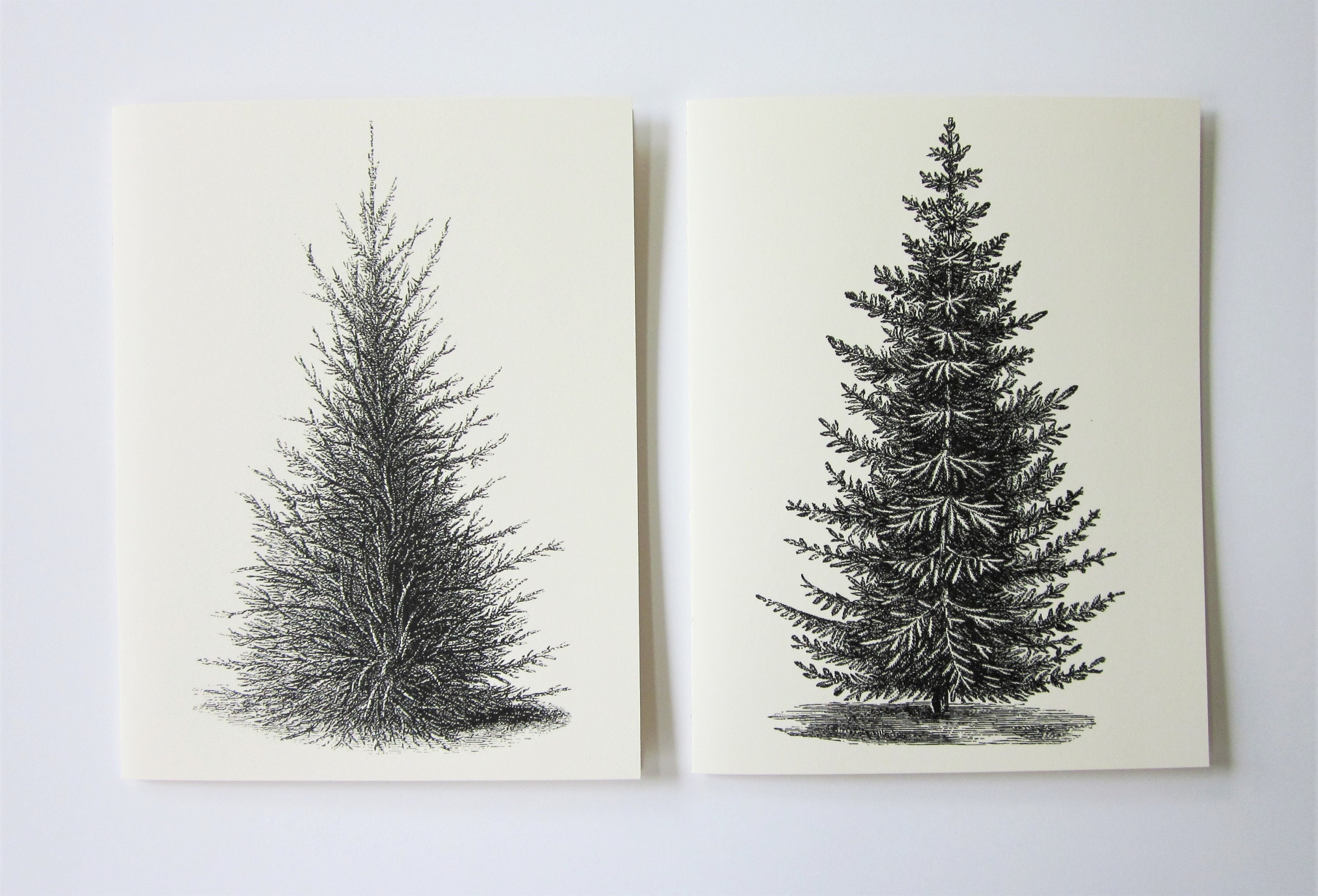 Pine Tree Note Card Set of 10 in White or Light Ivory With - Etsy