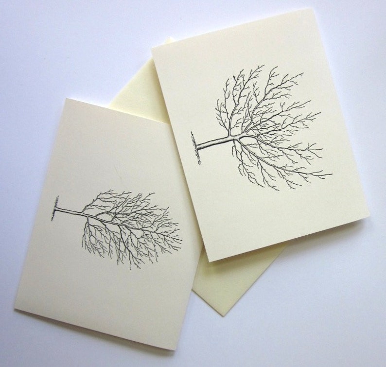 Winter Trees Note Cards Stationery Set of 10 Cards in White or - Etsy