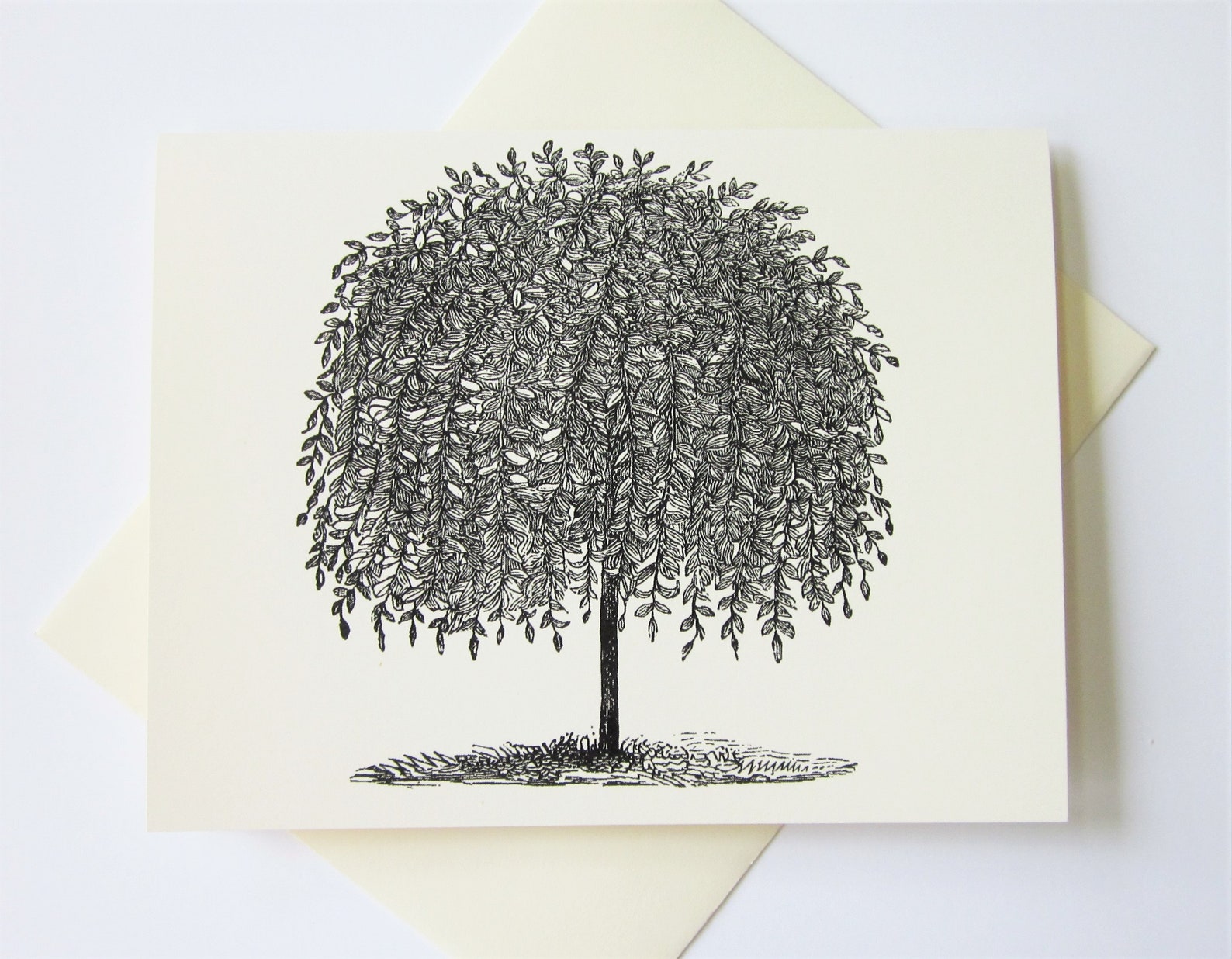 Tree Note Card Set of 10 in White or Light Ivory With Matching - Etsy