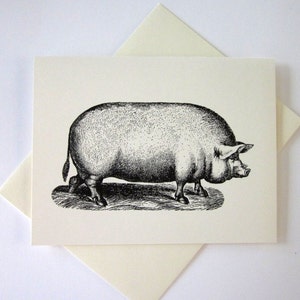 Pig Cards Set of 10 in White or Light Ivory With Matching Envelopes - Etsy
