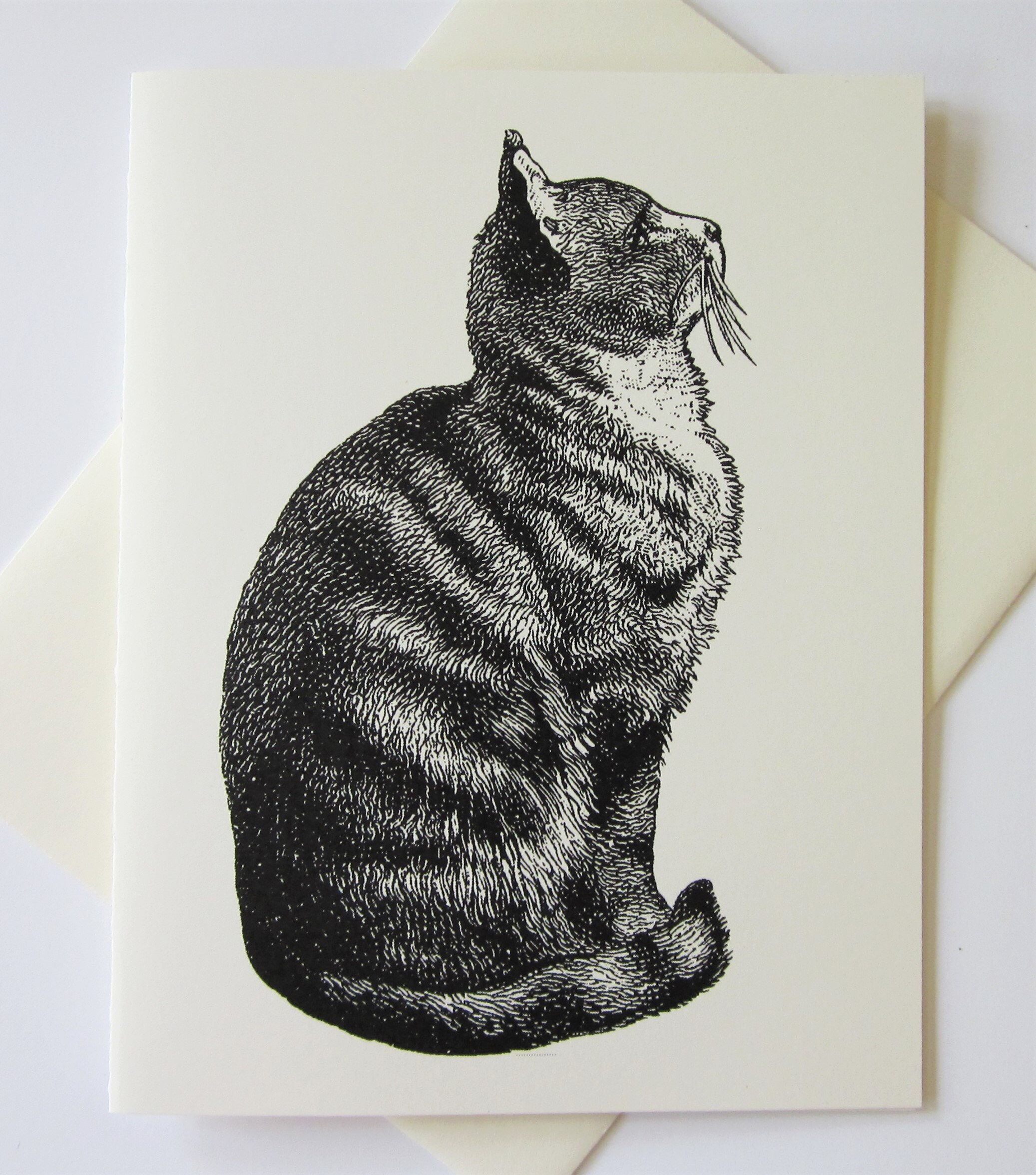 Cat Note Cards Stationery Set of 10 Cards With Matching - Etsy