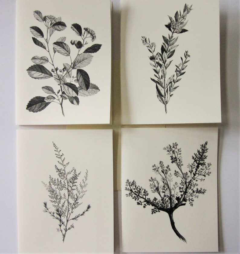 Botanical Branch Note Cards Set of 12 With Matching Envelopes - Etsy Canada