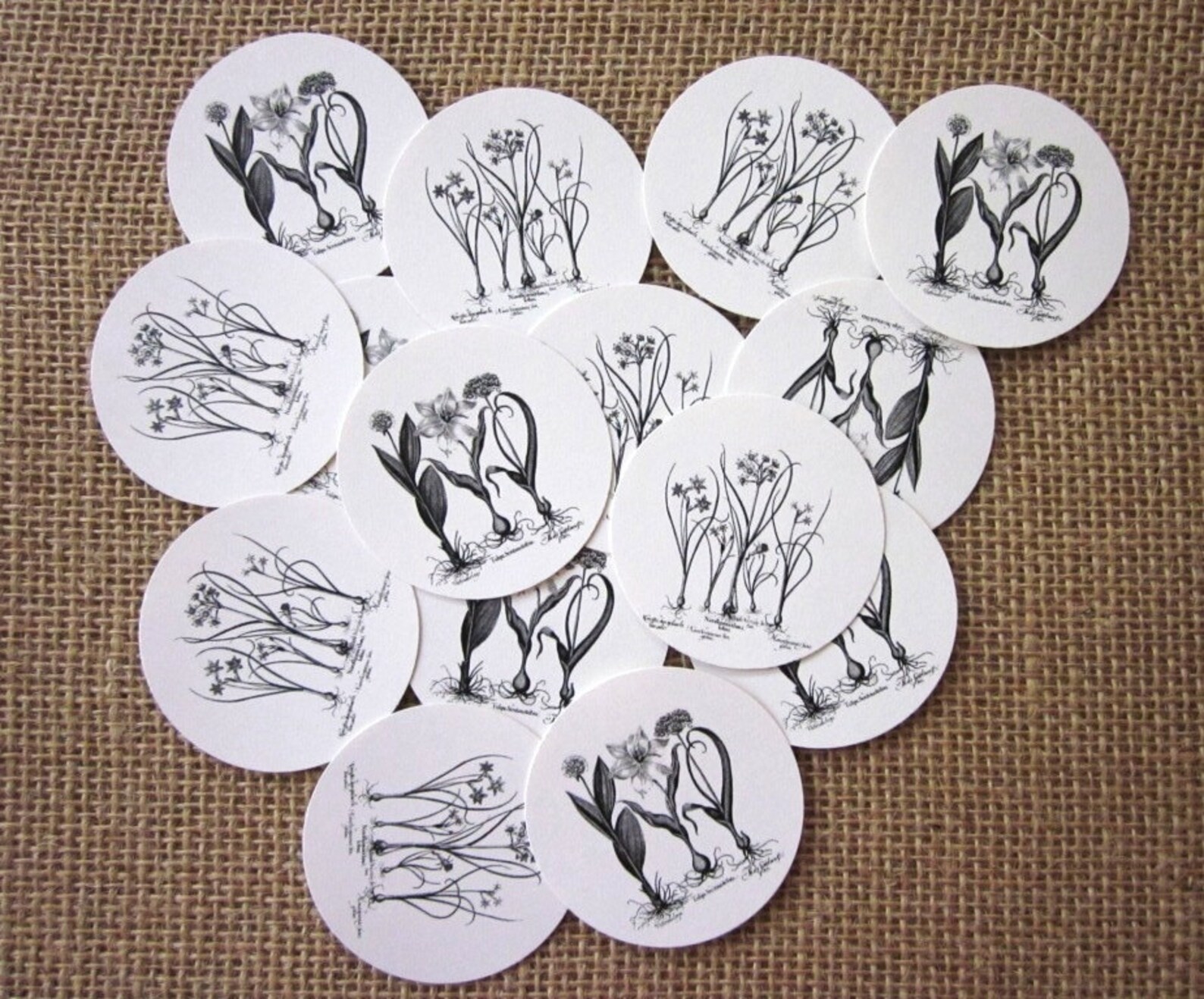 Flower Bulbs Note Cards Set of 10 with Matching Envelopes | Etsy