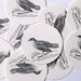 Bird Tags Round Gift Tags Set of 10 - Etsy