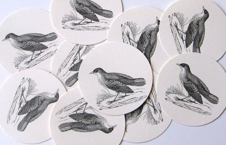 Bird Tags Round Gift Tags Set of 10 | Etsy