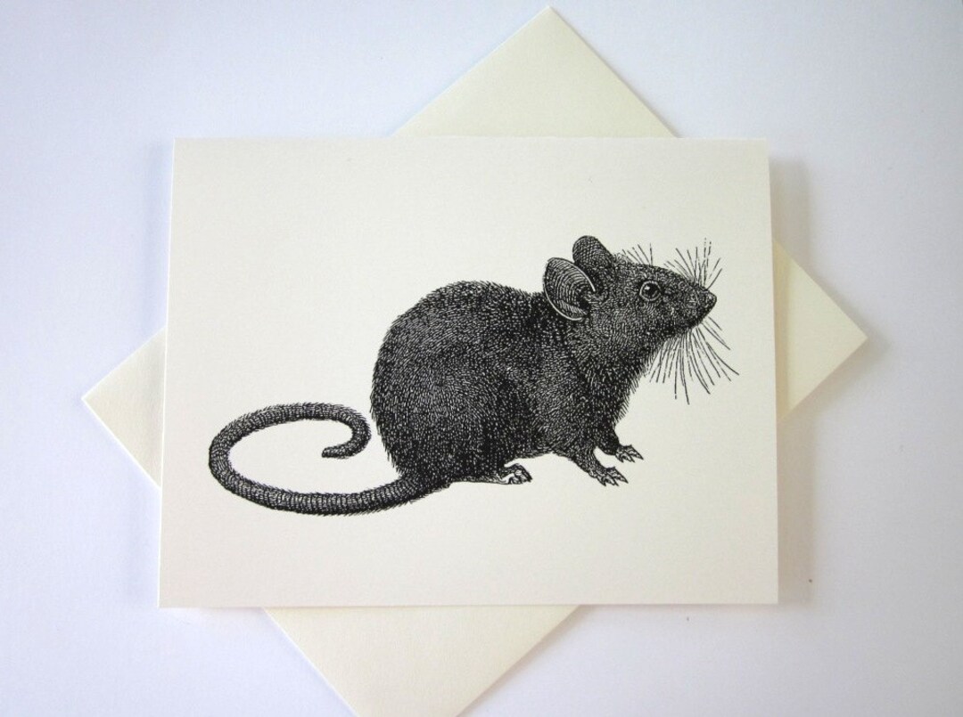 Mouse Rat Note Cards Stationery Set of 10 Cards in White or Light Ivory ...