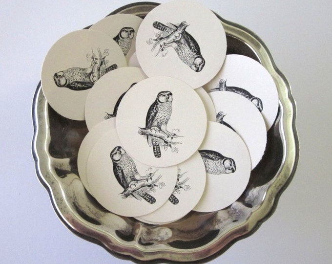 Camellia Rose Flower Round Gift Tags Set of 10 - Etsy