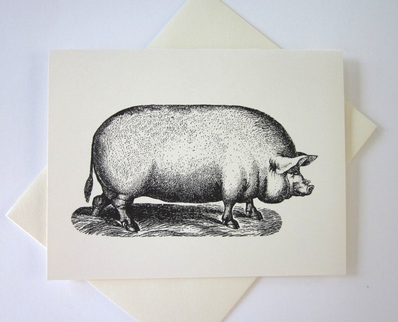 Pig Cards Set of 10 in White or Light Ivory With Matching - Etsy