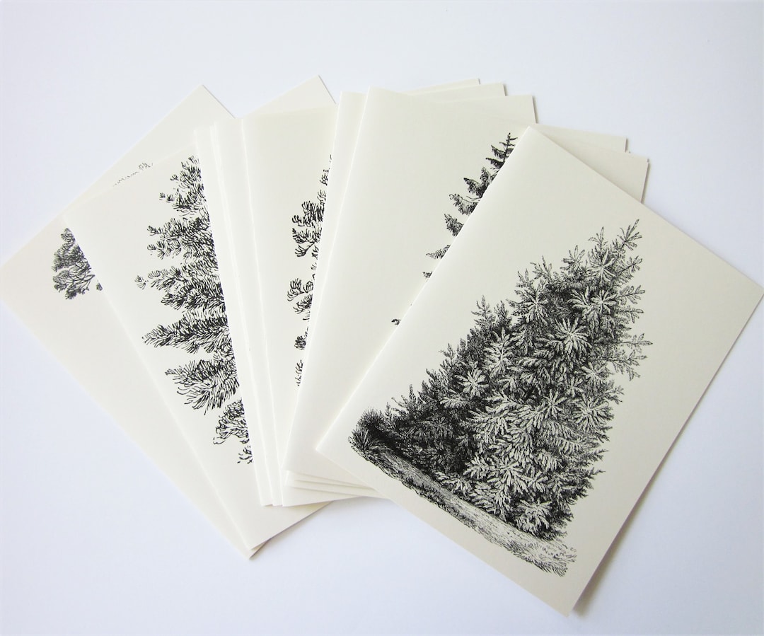 Pine Tree Note Card Set of 10 in White or Light Ivory With Matching ...