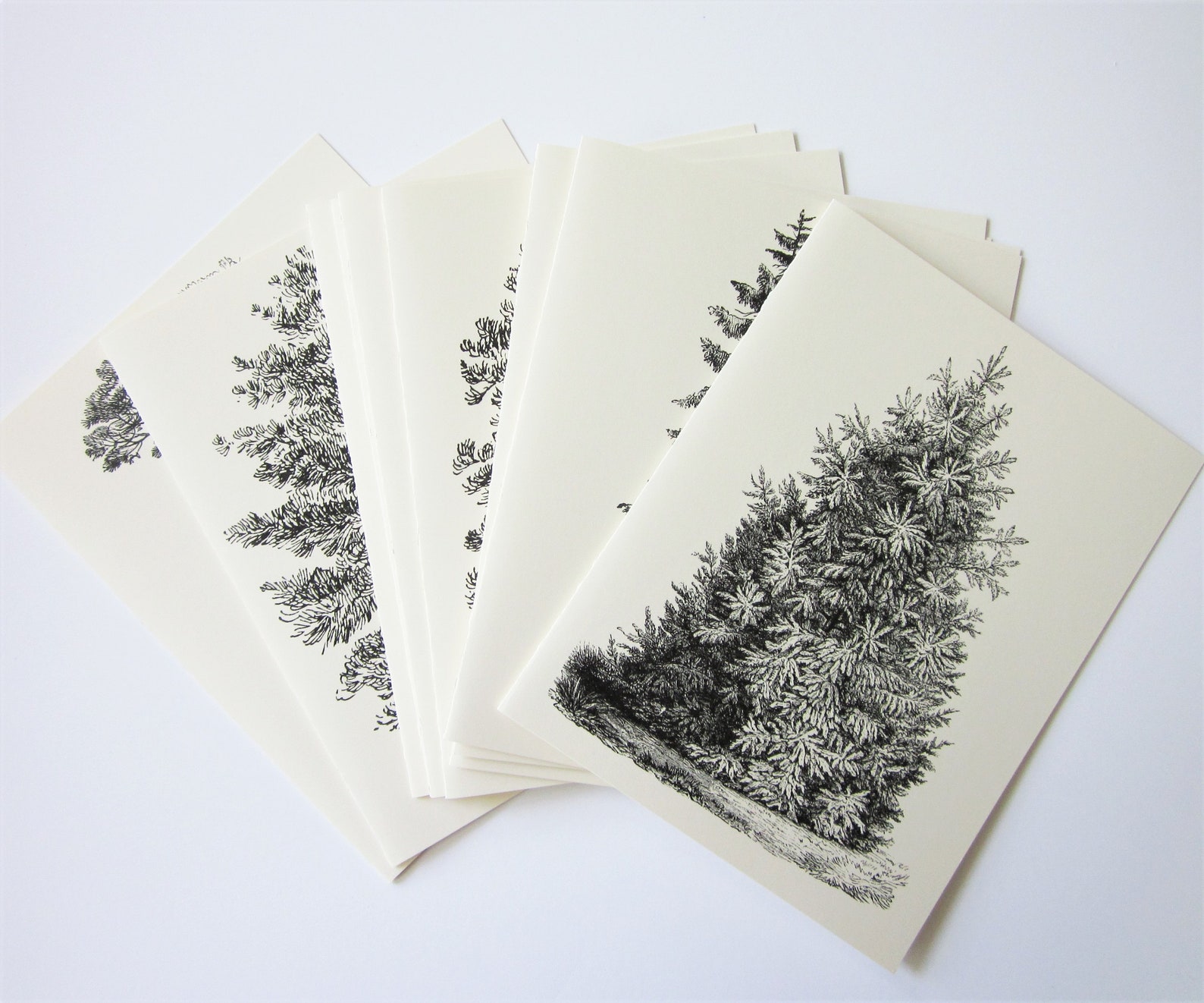 Pine Tree Note Card Set of 10 in White or Light Ivory With Matching ...
