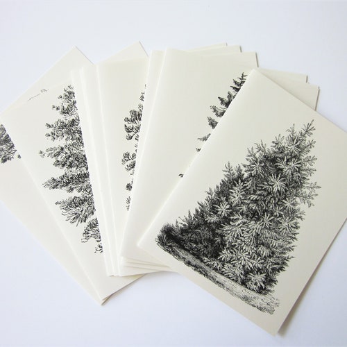 Pine Tree Note Card Set of 10 in White or Light Ivory With - Etsy