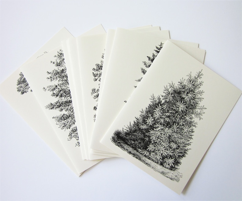 Pine Tree Note Card Set of 10 in White or Light Ivory with | Etsy