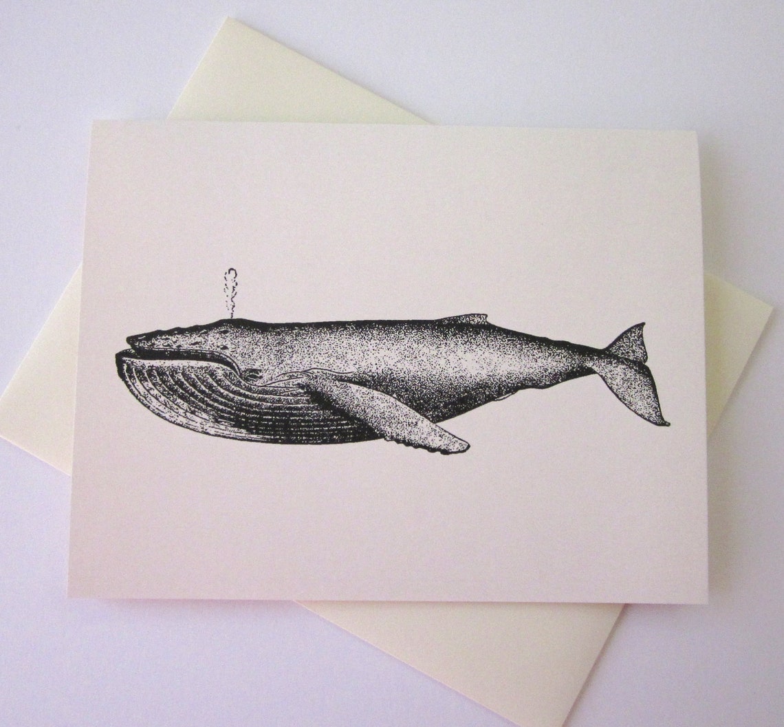 Whale Note Card Set of 10 in White or Light Ivory With | Etsy