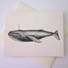 Whale Note Card Set of 10 in White or Light Ivory With - Etsy
