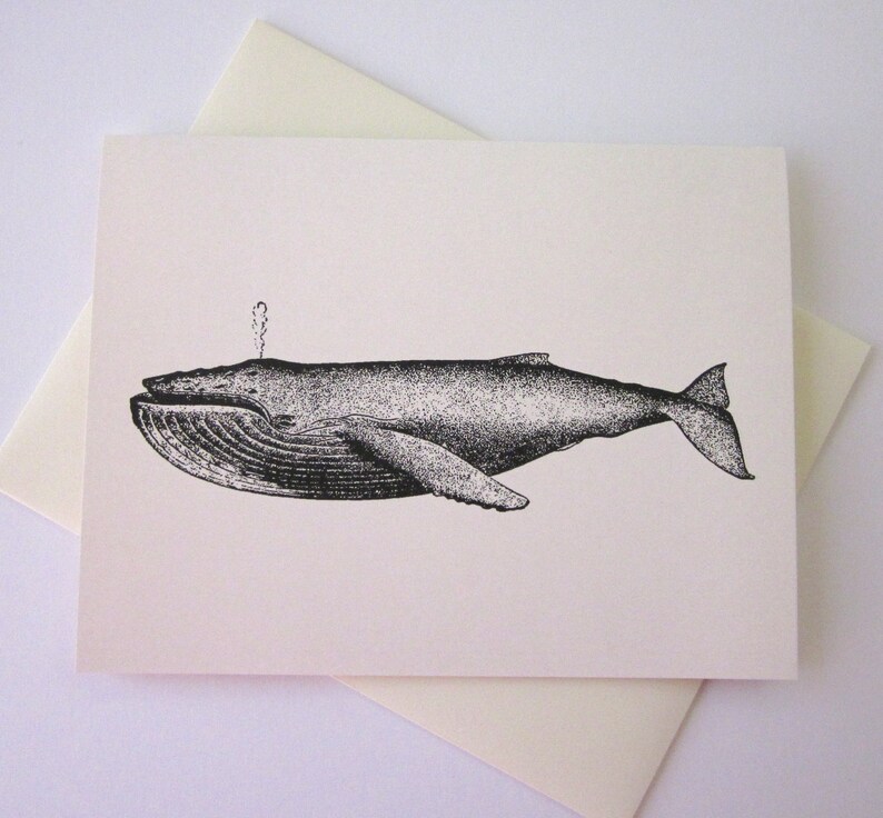Whale Note Card Set of 10 in White or Light Ivory With | Etsy