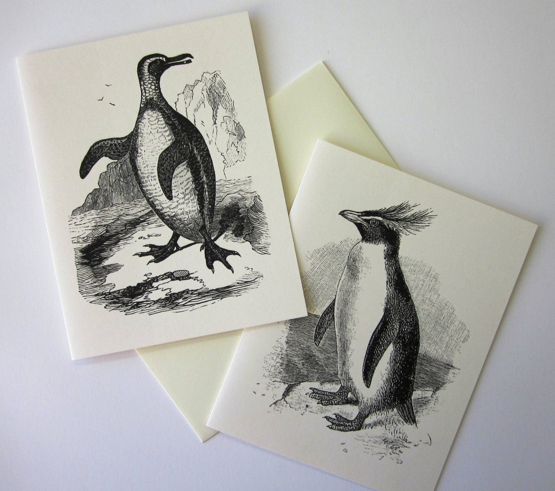 Penguin Note Cards Stationery Set of 10 Cards - Etsy