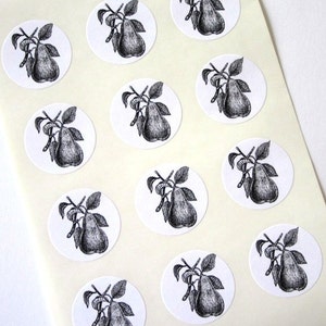 Pear Fruit Stickers One Inch Round Seals - Etsy
