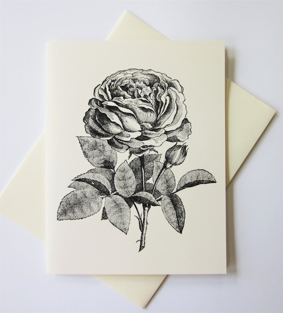 Rose Flower Note Cards Set of 10 with Matching Envelopes | Etsy