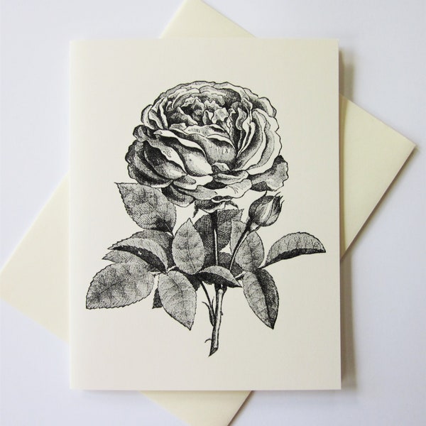 Rose Note Cards - Etsy