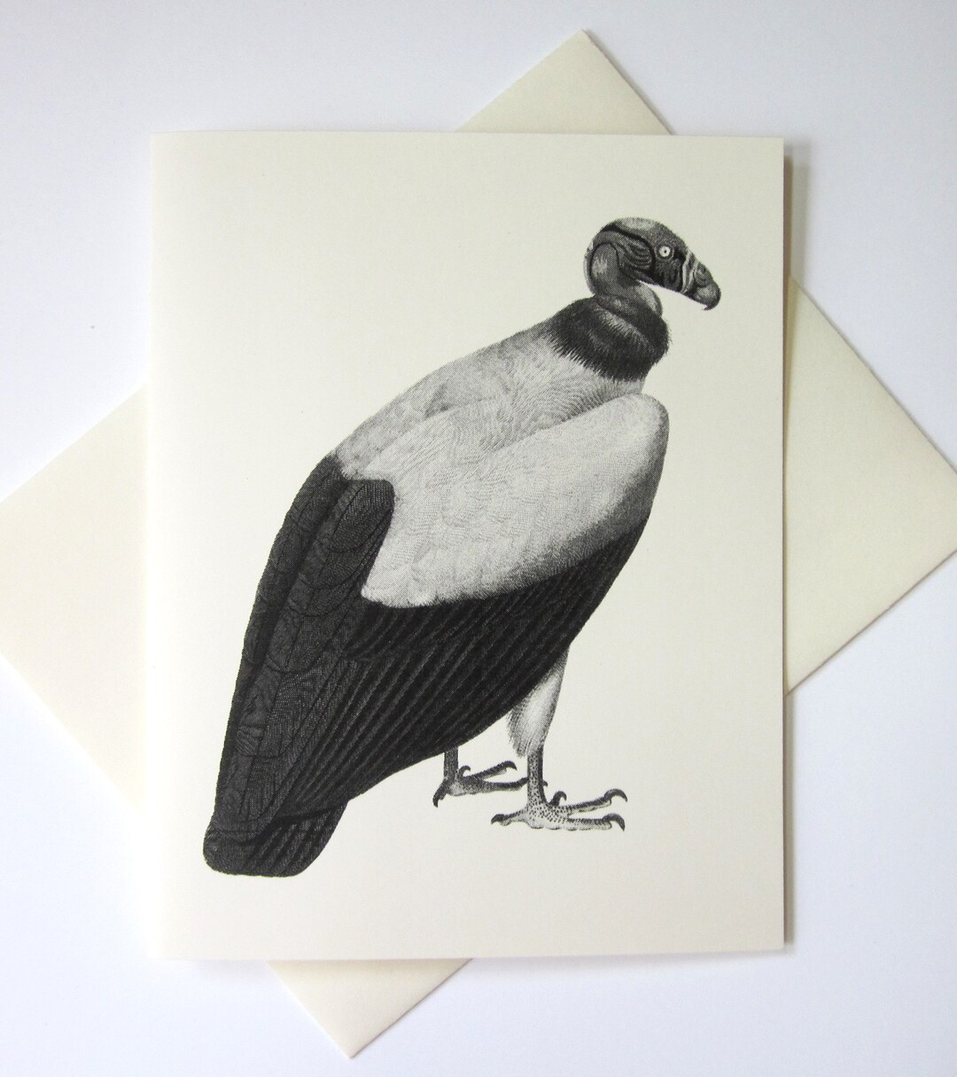 Vulture Note Cards Set of 10 With Matching Envelopes - Etsy