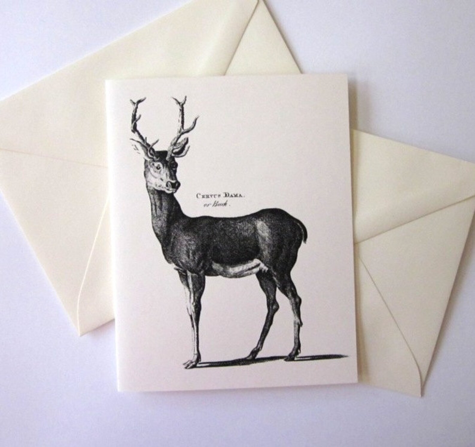 Deer Note Cards Stationery Set of 10 Cards in White or Light Ivory With ...