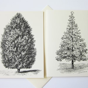 Pine Tree Note Card Set of 10 in White or Light Ivory With Matching ...