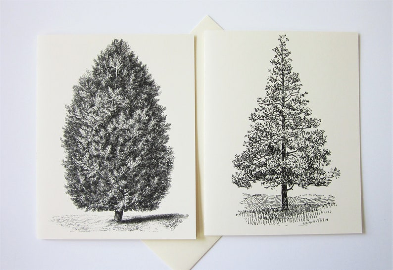 Pine Tree Note Card Set of 10 in White or Light Ivory With - Etsy