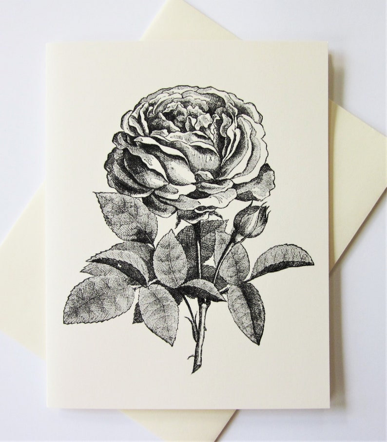 Rose Flower Note Cards Set of 10 with Matching Envelopes | Etsy