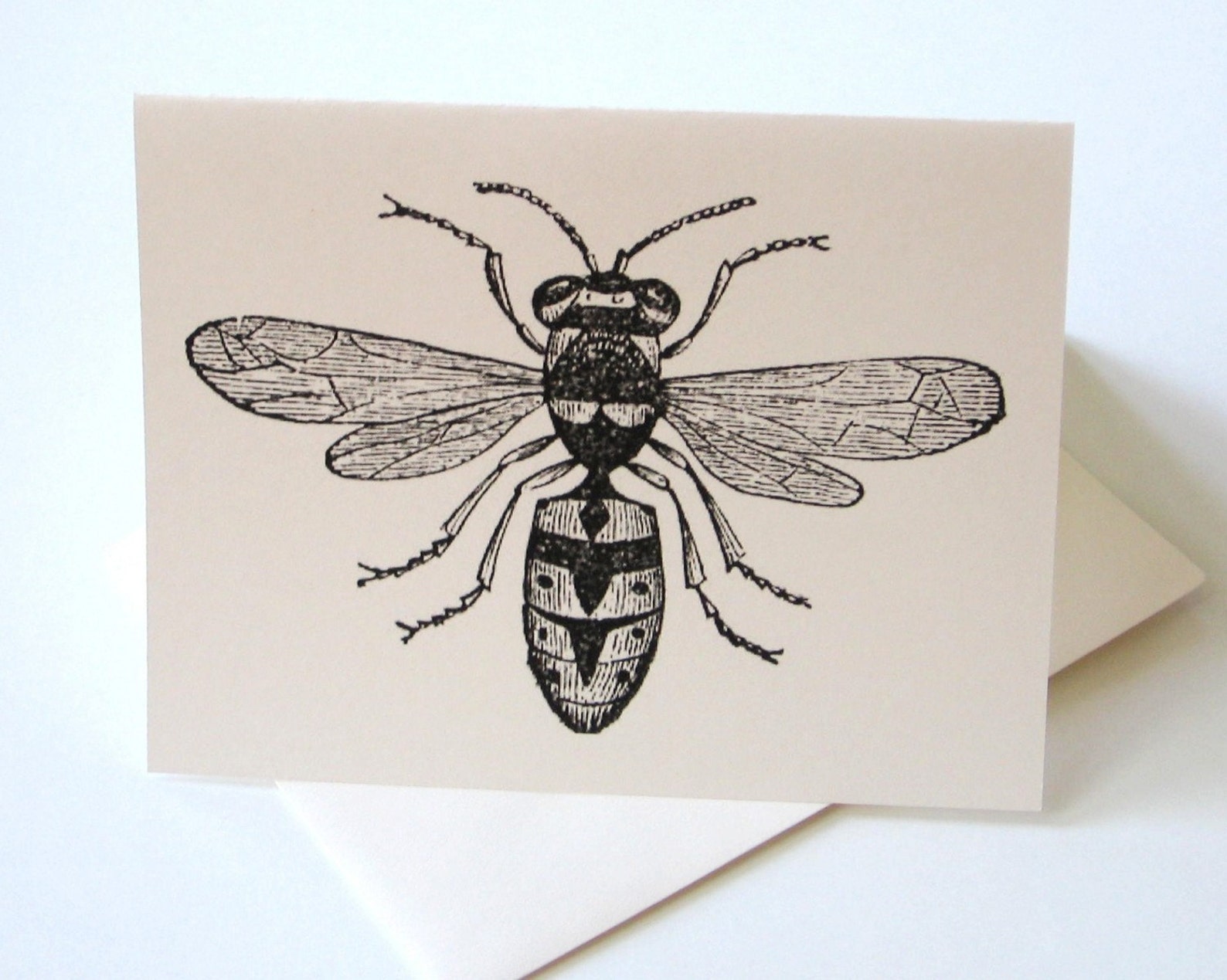 Bee Wasp Note Cards Stationery Set of 10 Cards in White or | Etsy