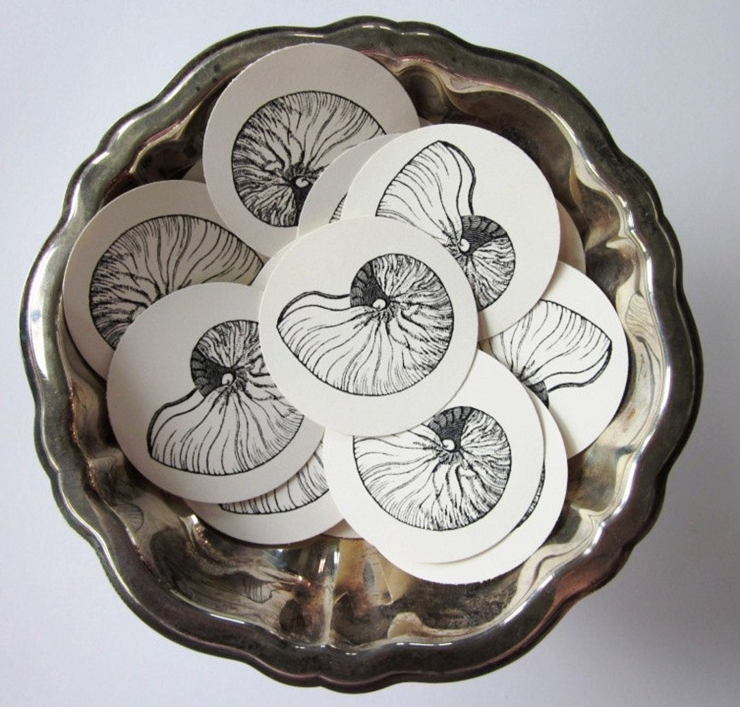 Nautilus Shell Tags Round Gift Tags Set of Ten - Etsy