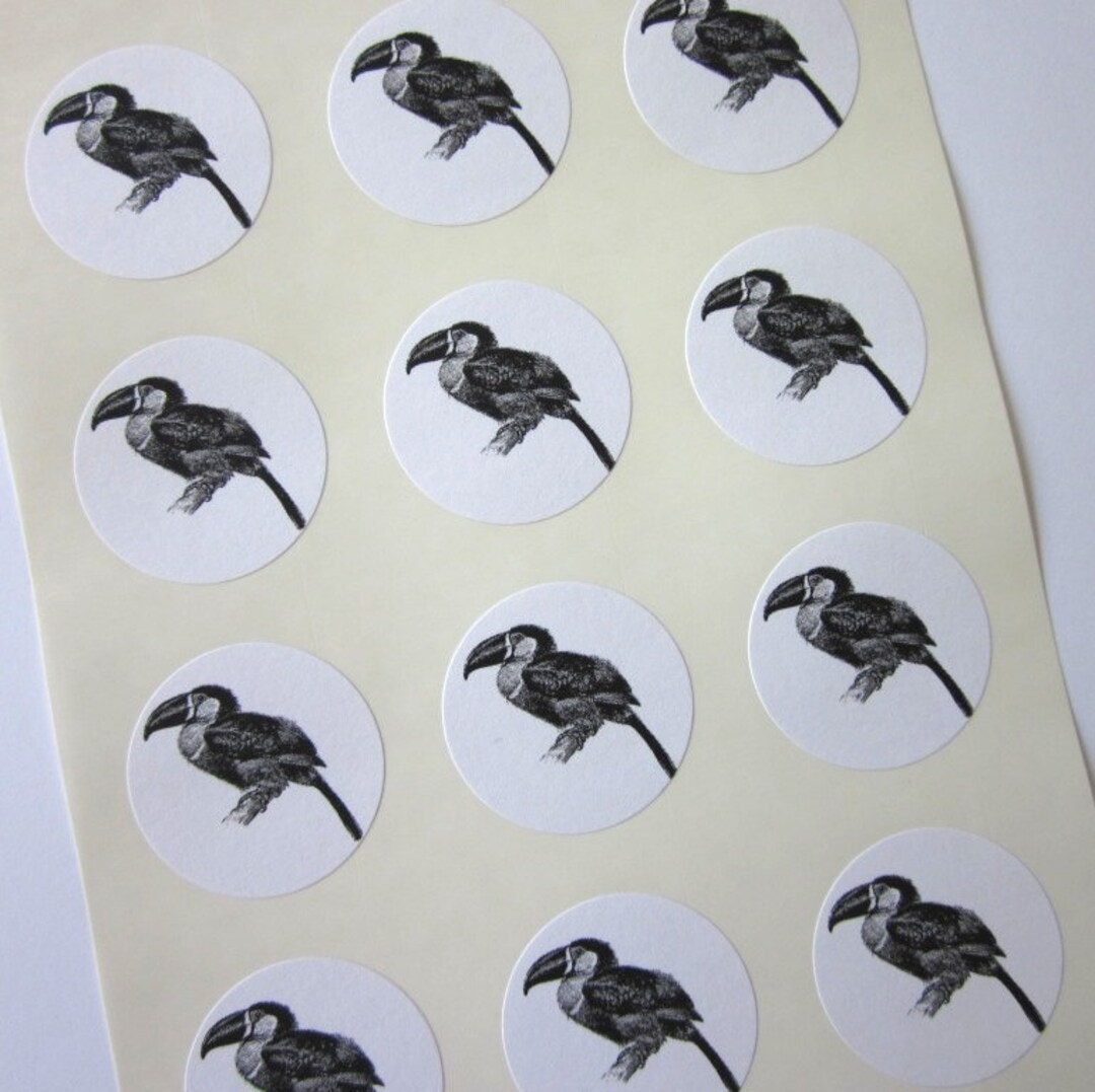 Toucan Stickers One Inch Round Seals - Etsy